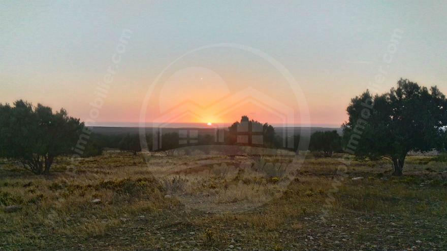 Achat terrain Maroc : 35 biens à vendre en exclusivité | Green Acres