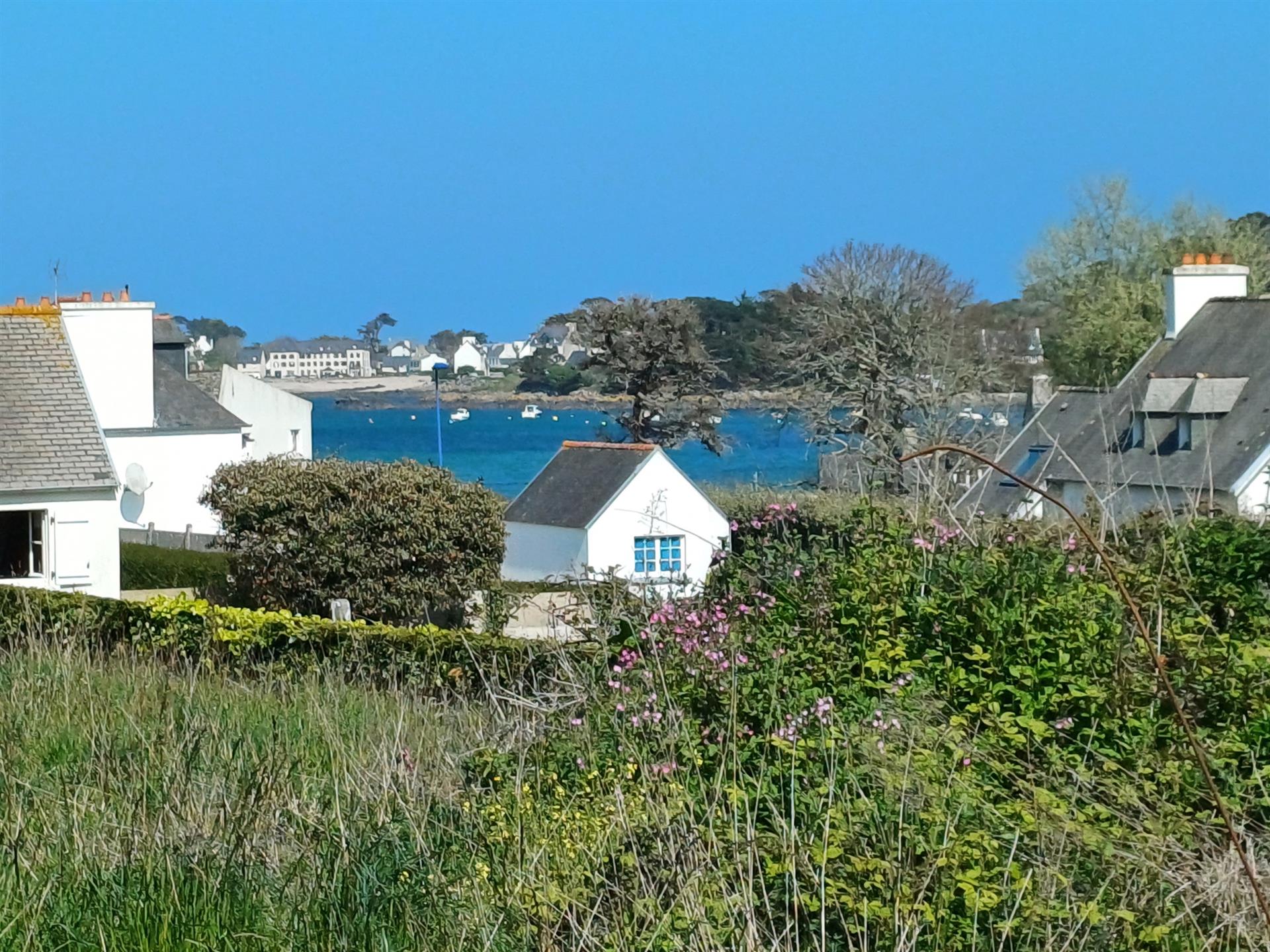 Plougasnou, le Diben, unerschlossenes Baugrundstück von 2000 m2.