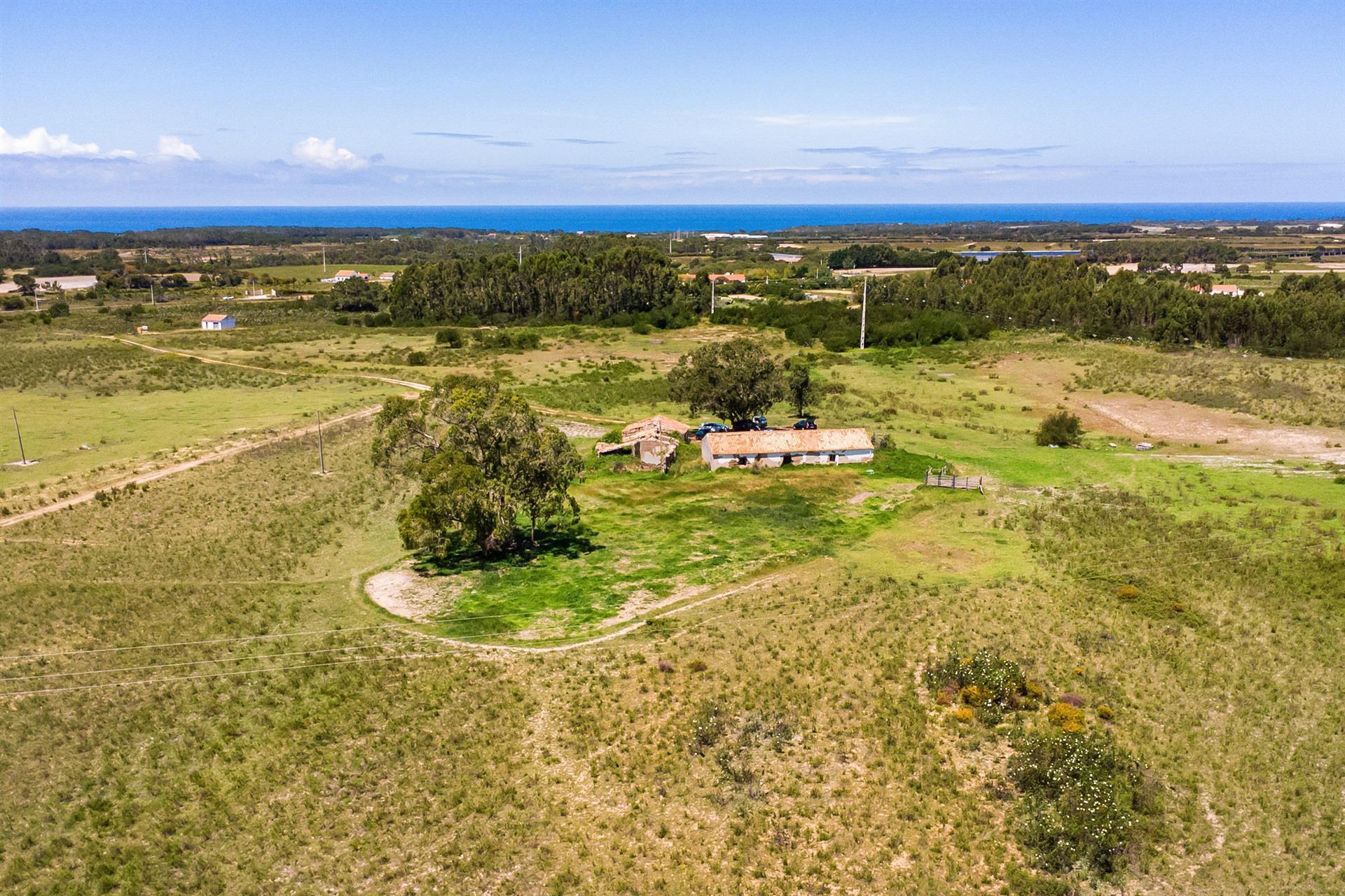 Ruína + 15ha para Sonhos Sustentáveis Odeceixe