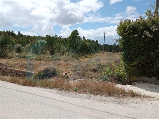 Arsa satın alma Ramalhal : 5 münhasır satışta olan taşınmazlar | Green ...