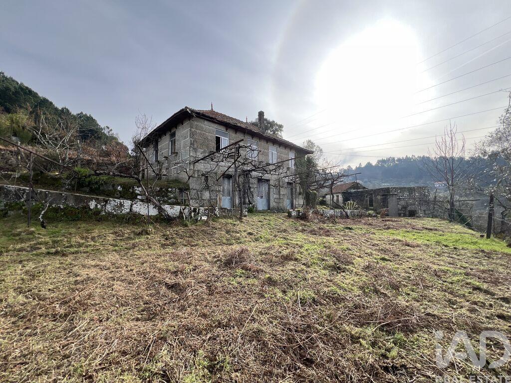 Quinto a Cinfães, Viseu