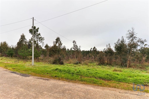 Land purchase Tavarede: 3 exclusive properties for sale | Green Acres