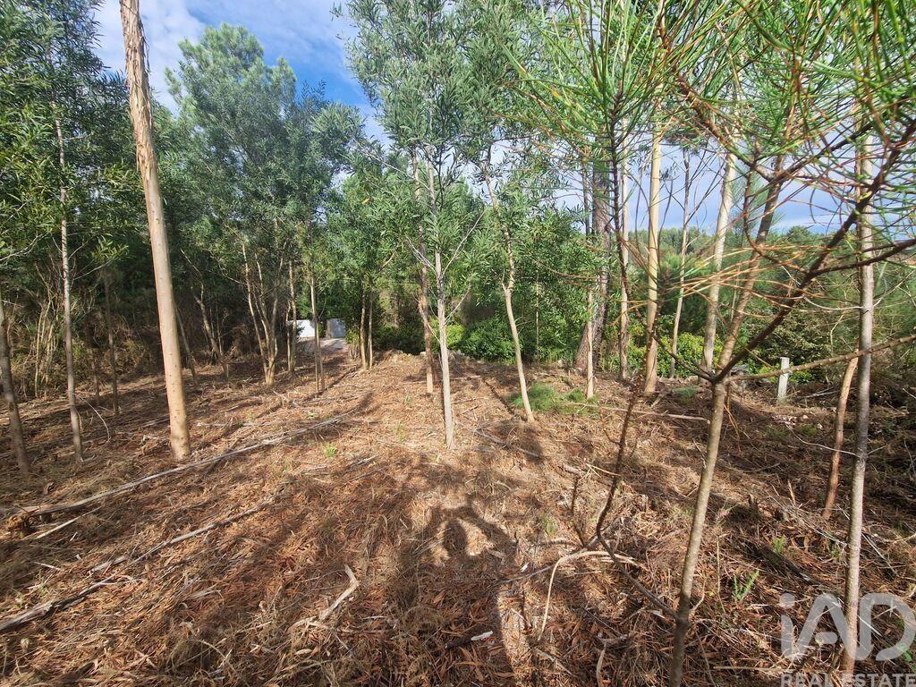 Terreno para construção em Nogueira, Meixedo e Vilar de Murteda de 3216 ...