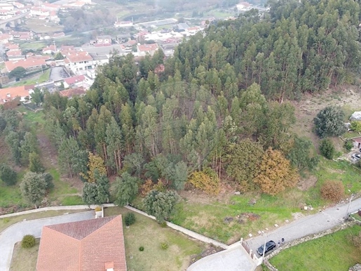 Ingatlanvásárlás Negrelos (São Tomé) : 3 kizárólagos értékesítésre ...