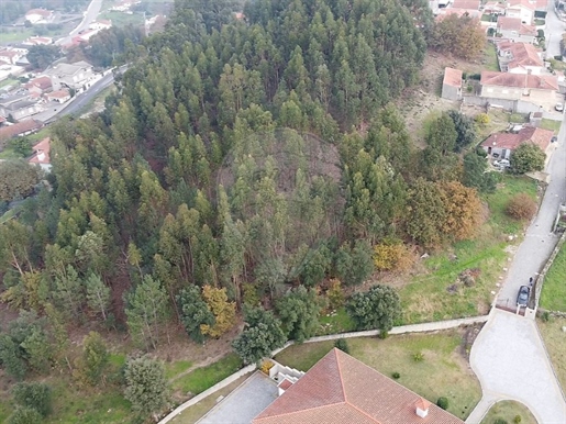 Ingatlanvásárlás Negrelos (São Tomé) : 3 kizárólagos értékesítésre ...