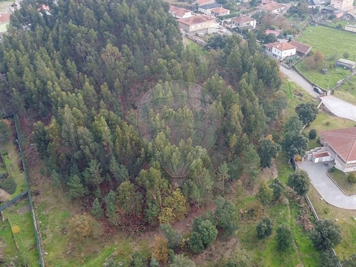 Ingatlanvásárlás Negrelos (São Tomé) : 3 kizárólagos értékesítésre ...