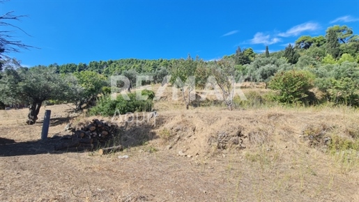 Arsa satın alma Glossa : 1 münhasır satışta olan taşınmazlar | Green Acres