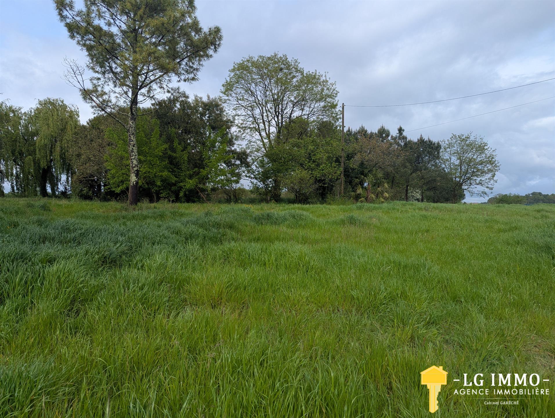 Terrain A Batir 1254 M2