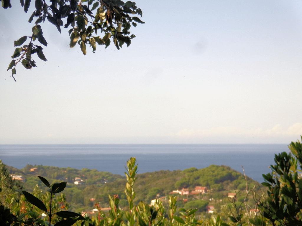 Purchase: Business premises (57034)