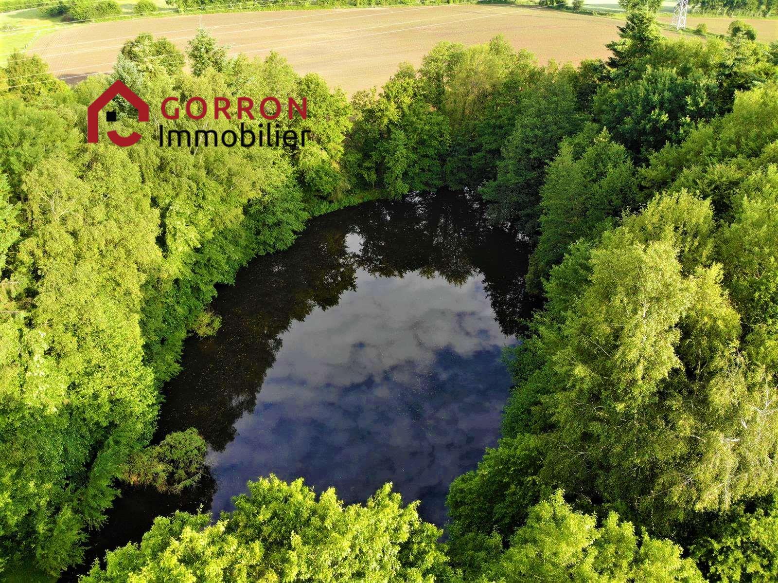 Spacious house with lake and wood