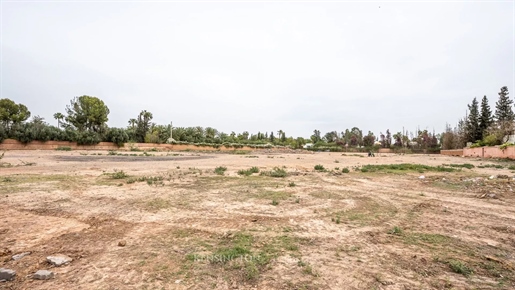 Achat terrain Maroc : 28 biens à vendre en exclusivité | Green Acres
