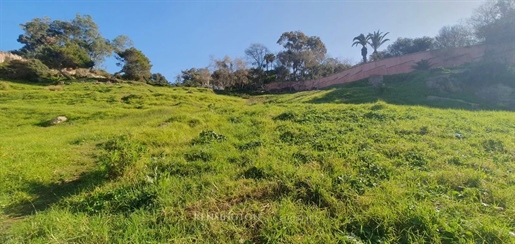 Achat terrain Maroc : 35 biens à vendre en exclusivité | Green Acres