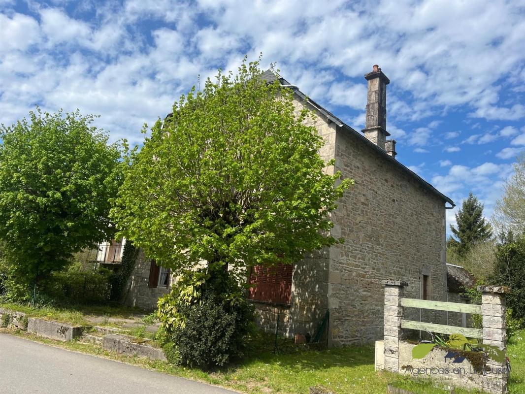 Purchase: House (19170)