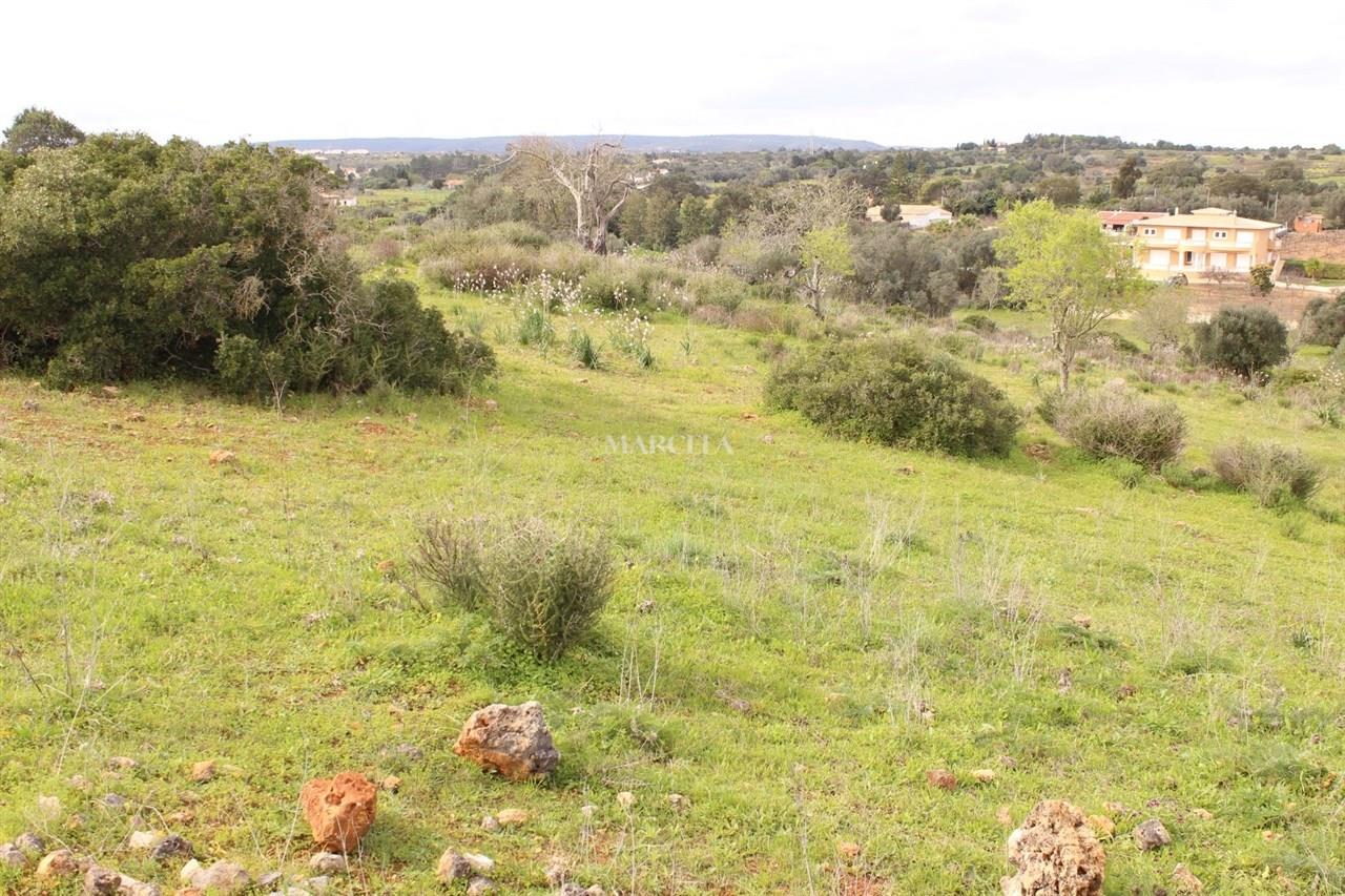 Rustic Land In Espiche