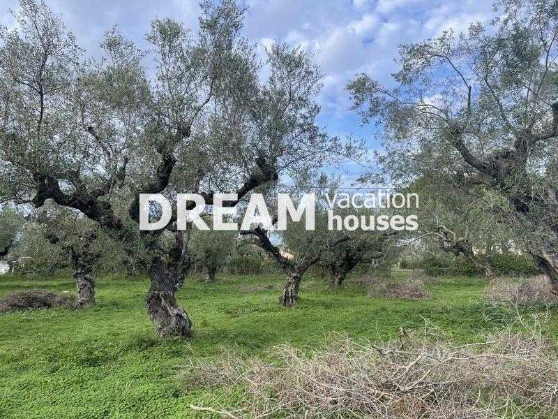 Land Plot | Zakynthos (Zante)/Kydoni - 5.193 Sq.m, 300.000€