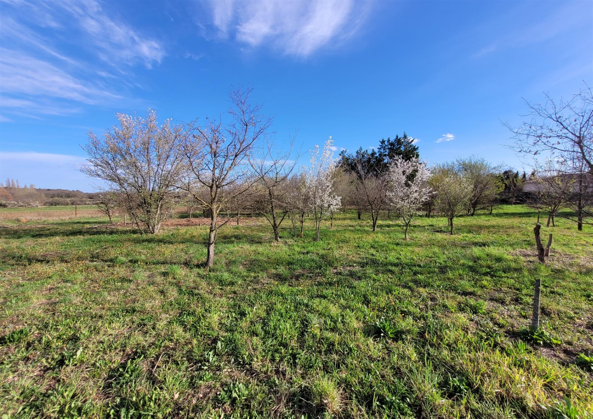Beau terrain constructible au Nord d'Uzès