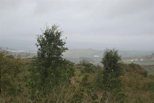 Arsa satın alma Ribafria e Pereiro de Palhacana : 2 münhasır satışta ...