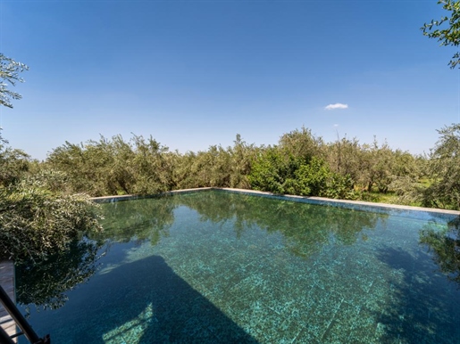 Achat terrain Maroc : 28 biens à vendre en exclusivité | Green Acres