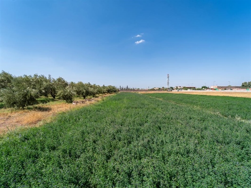 Achat terrain Maroc : 35 biens à vendre en exclusivité | Green Acres