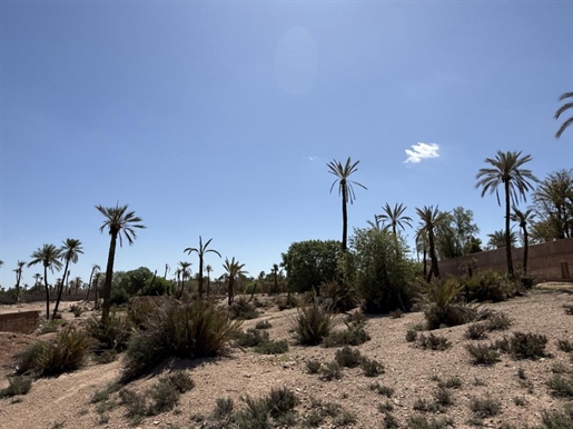 Achat terrain Maroc : 35 biens à vendre en exclusivité | Green Acres