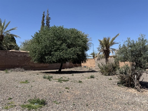 Achat terrain Maroc : 35 biens à vendre en exclusivité | Green Acres