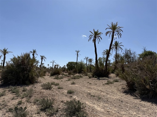 Achat terrain Maroc : 28 biens à vendre en exclusivité | Green Acres