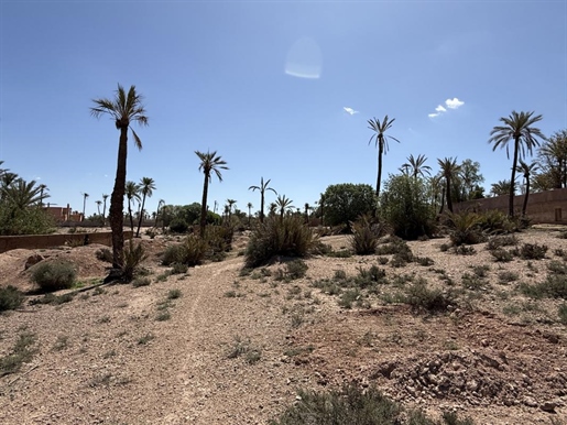 Achat terrain Maroc : 35 biens à vendre en exclusivité | Green Acres