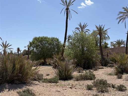 Achat terrain Maroc : 35 biens à vendre en exclusivité | Green Acres