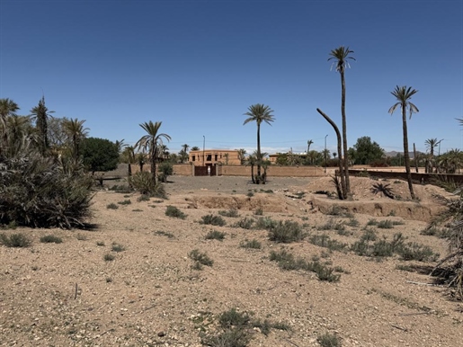 Achat terrain Maroc : 35 biens à vendre en exclusivité | Green Acres