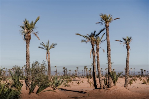 Achat terrain Maroc : 28 biens à vendre en exclusivité | Green Acres